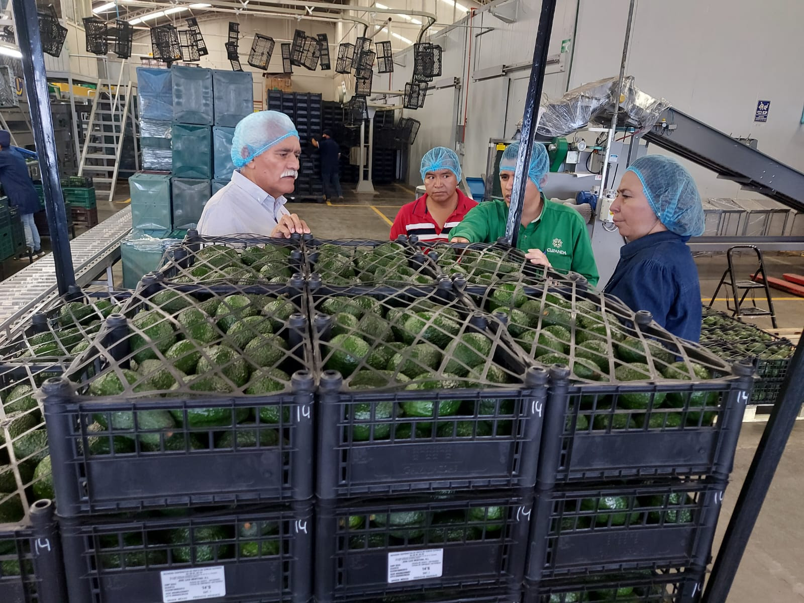 SADER | Sader plantea a productores compartir buenas prácticas en ...